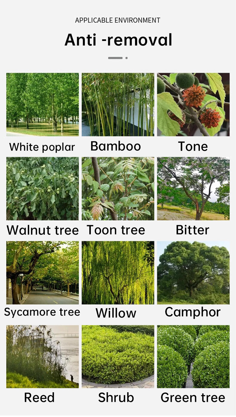 【Clear everything】 Weed killer racun rumput Racun rumput mati akar ...