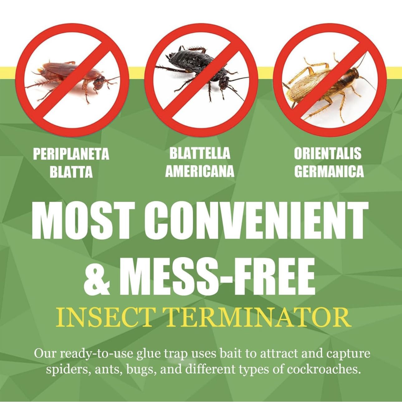 10Pcs Cockroach Killer Roach Traps Roach Bait Roach Motel Cockroach ...