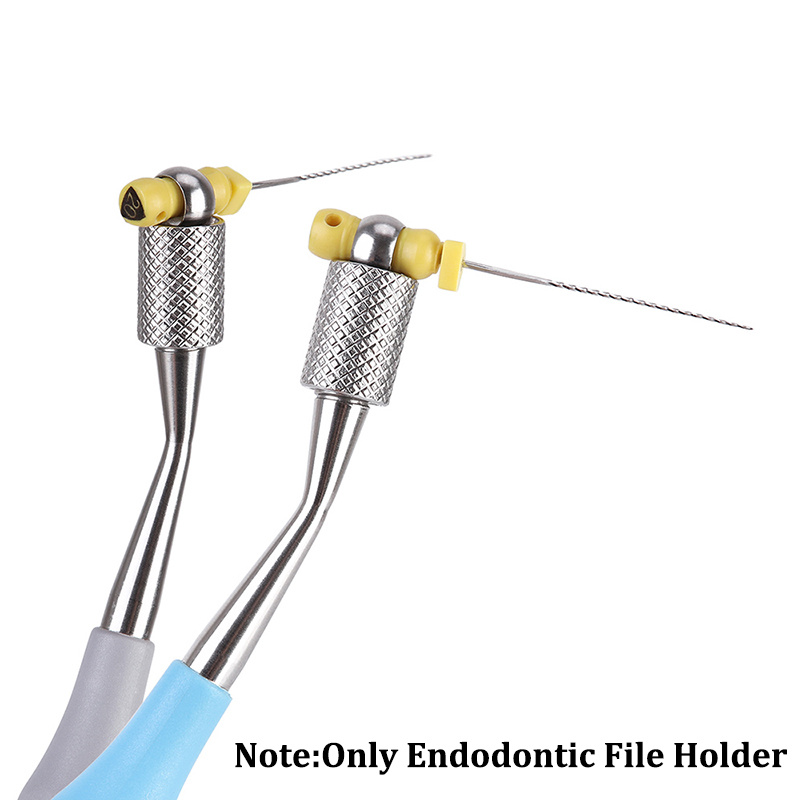 Dental Hand Use Endo Files Holder Root Canal File Handle Endodontic ...