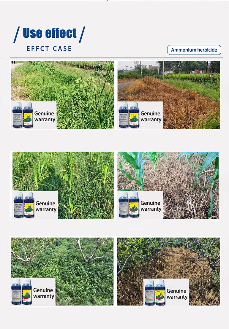Root-rotting herbicide HB racun rumput ecomax racun rumput glyphosate ...