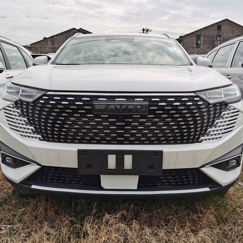 ZLWR Haval H6 HEV car front logo front and rear letter logo car logo ...