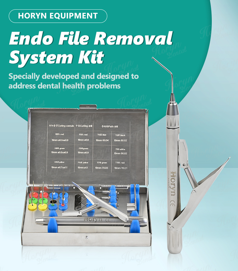 HORYN High Quality Dental Root Canal File Extractor Broken Files ...
