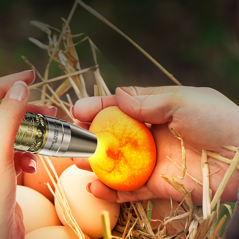 Smiling Shark ZYD213 LED Flashlight Super Bright Identification Torch ...