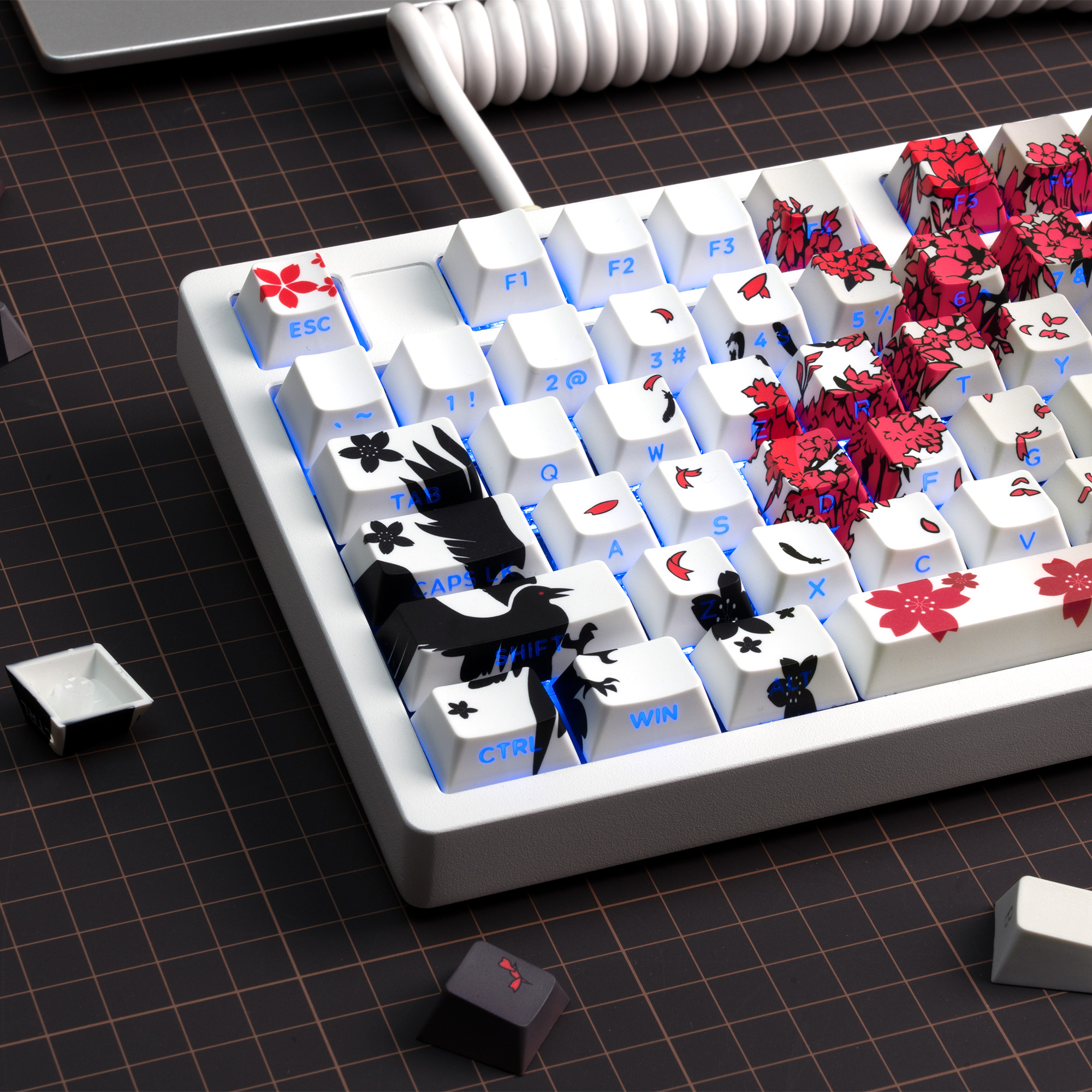 XVX Double Shot PBT Keycaps Wooting Magnetic Linear Switch Full Set ...