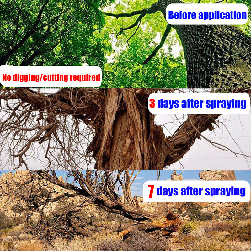 [1 drop kills a century-old tree] Tree killer Racun pokok besar Racun ...