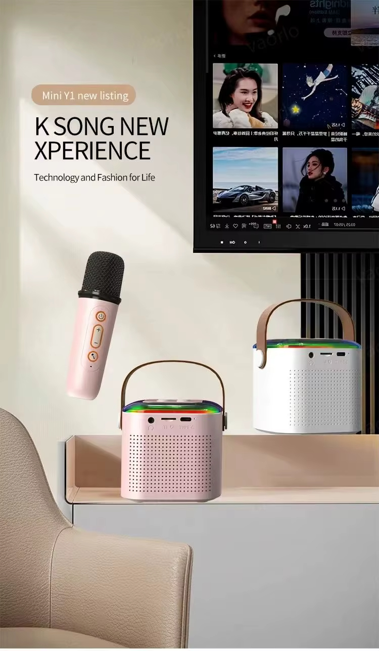 Portable Karaoke Machine with 2 Wireless Microphones, Mini Karaoke Machine with LED Lights ...