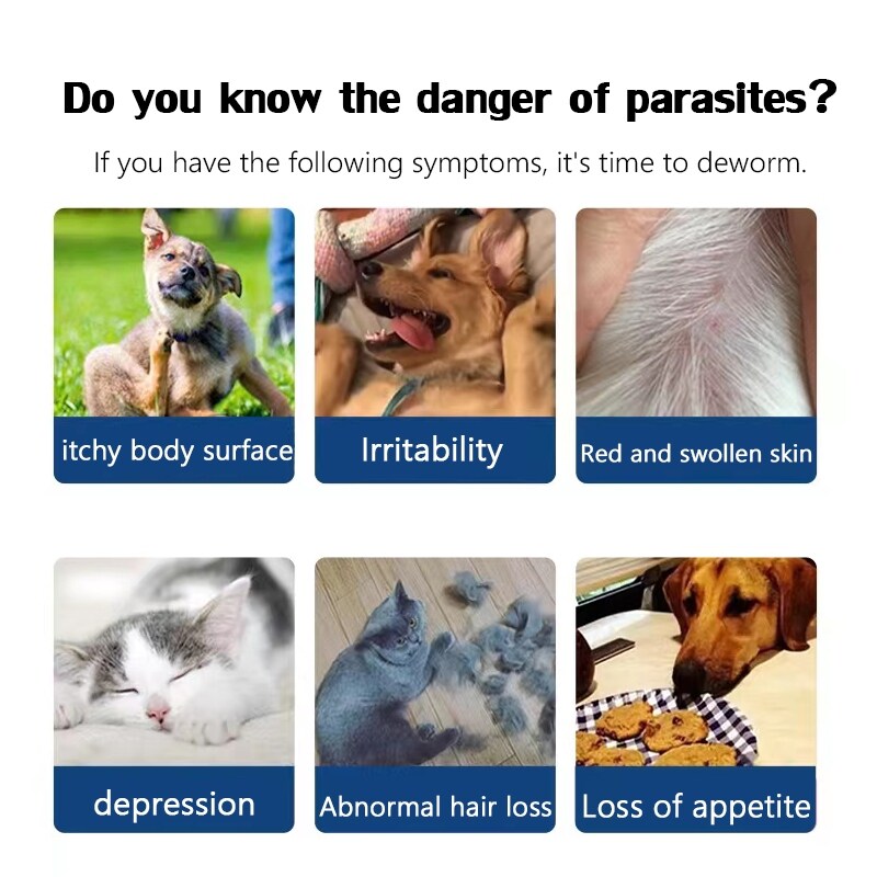 Insect repellent rate 99% Flea and tick spray 510ML Flea spray cat flea ...