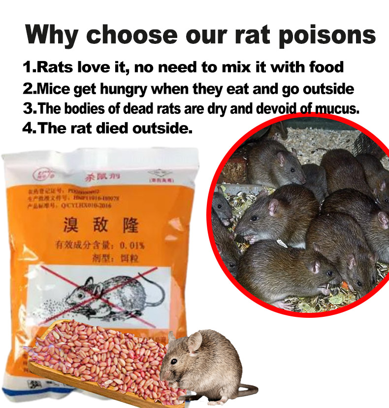 [Ready Stock] racun burung bird killer 500g Bird repellent Bird Poison ...