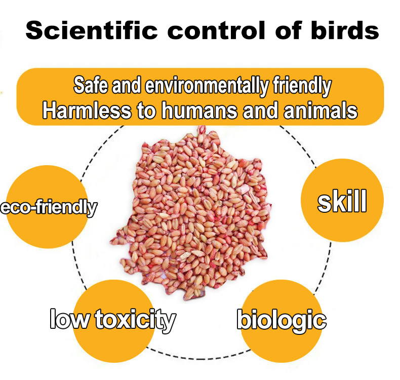 [Ready Stock] racun burung bird killer 500g Bird repellent Bird Poison ...