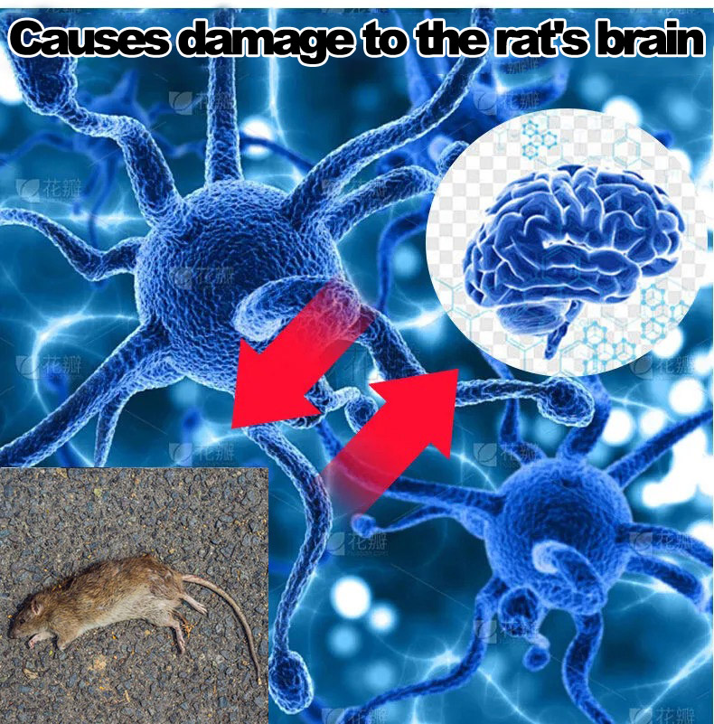 [Ready Stock] racun burung bird killer 500g Bird repellent Bird Poison ...