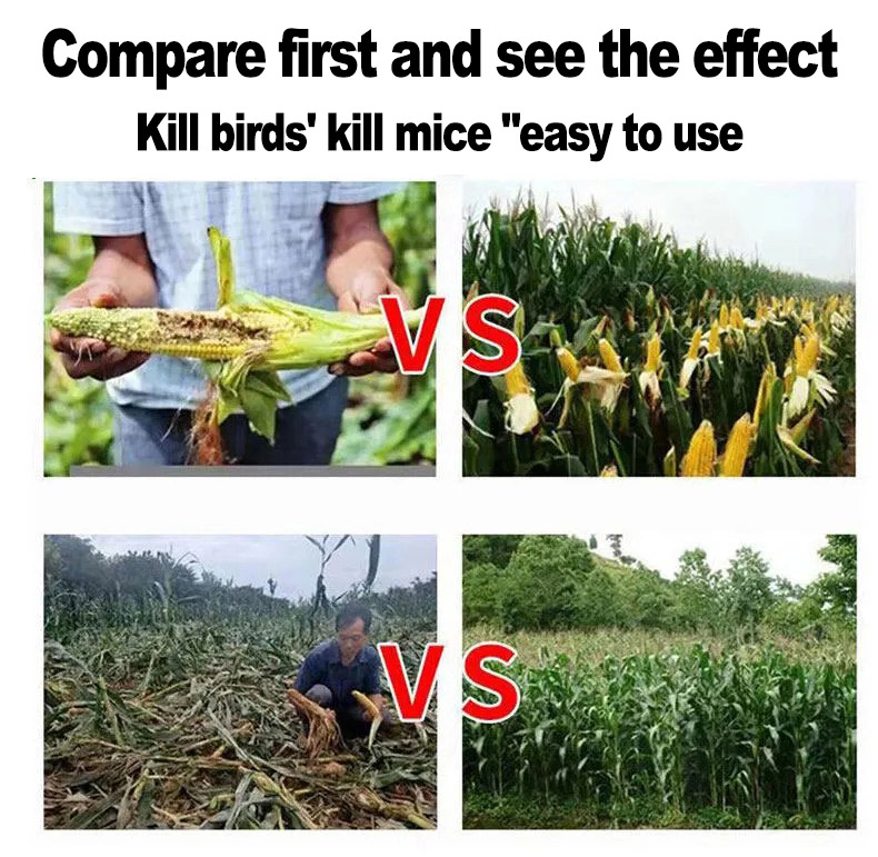 [Ready Stock] racun burung bird killer 500g Bird repellent Bird Poison ...