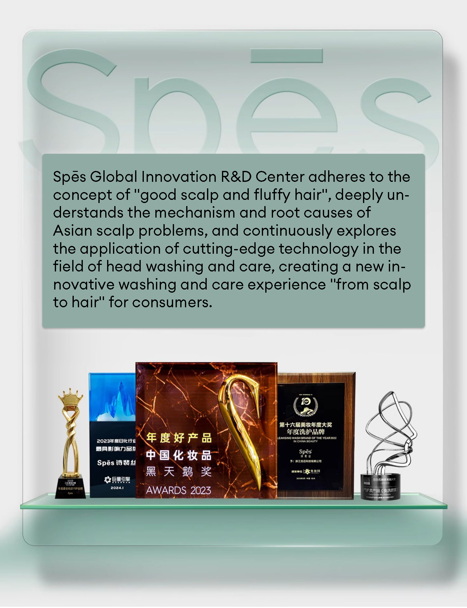 Spes Washing-Free Hair Spray Dry Shampoo 12h Oil Control 免洗干发喷雾 蓬松控油干爽 ...