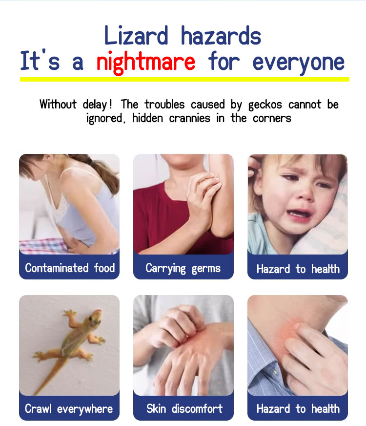 【Powerful elimination of lizards】ioo Racun cicak Lizard bait One was ...