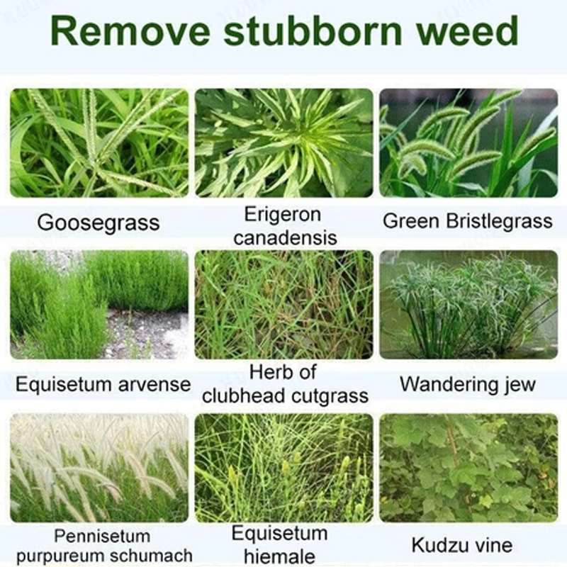 Weed killer 500g Racun pokok paling kuat Hexazinone Racun pokok kayu ...