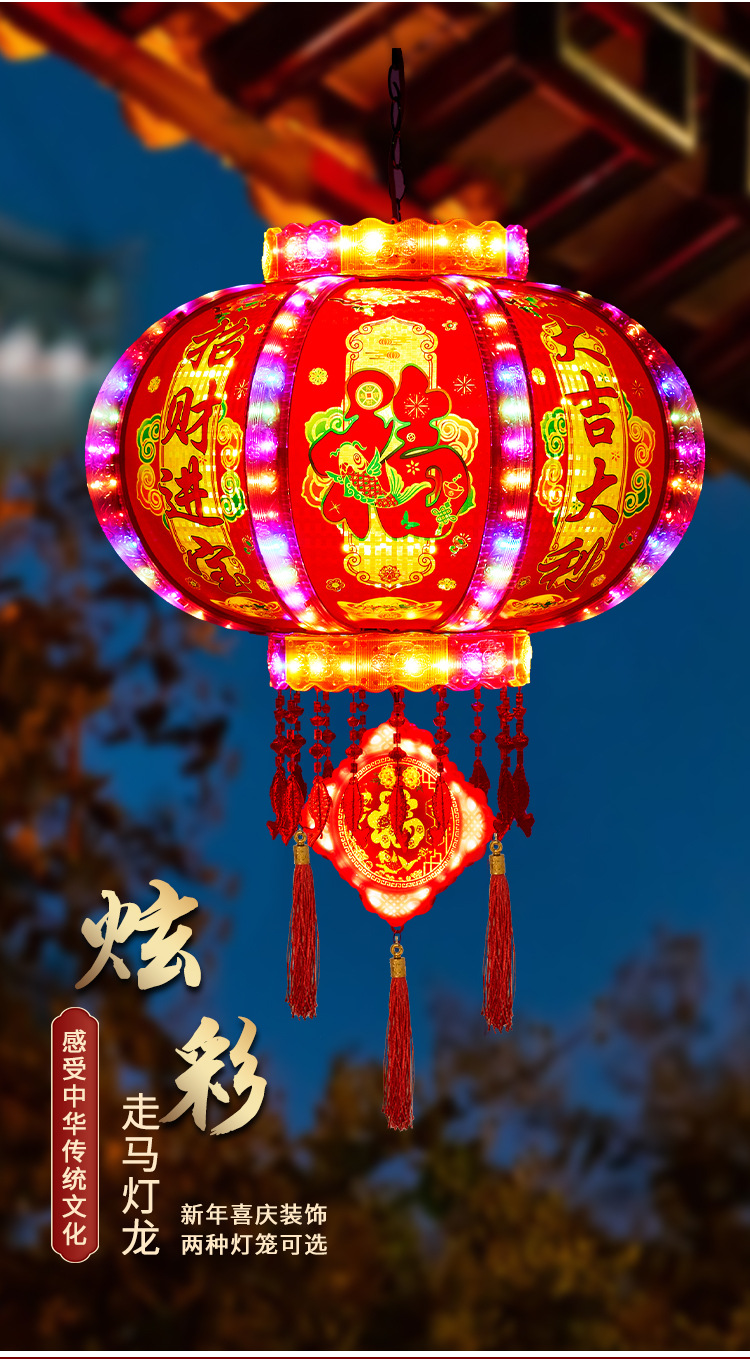 🏮🏮2025 Chinese New Year Lantern CNY Decoration LED Light Colorful ...