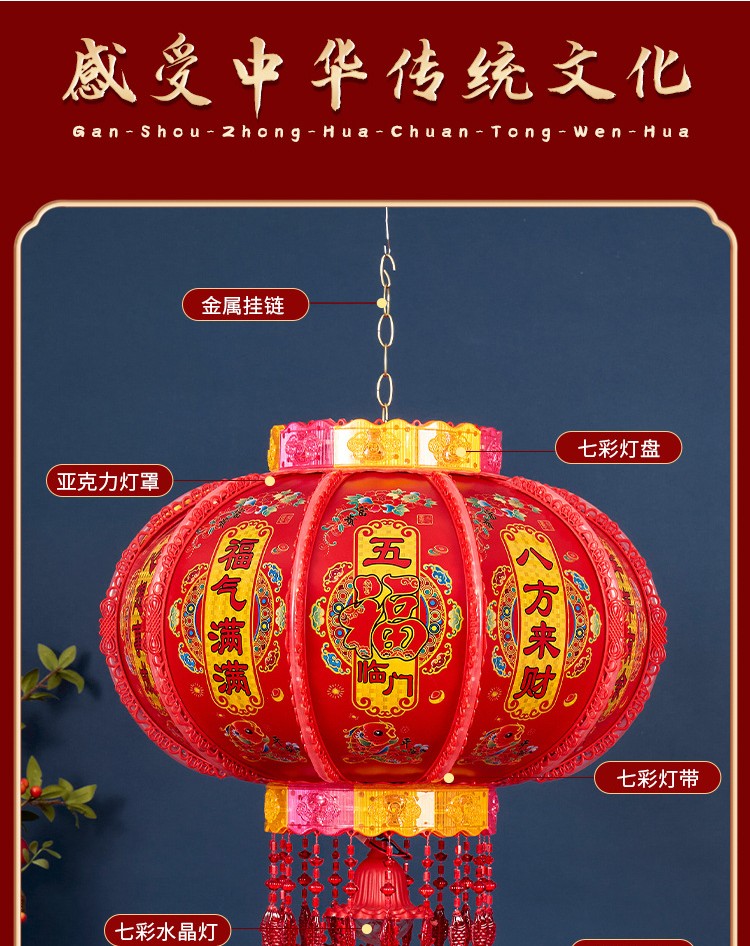 🏮🏮2025 Chinese New Year Lantern CNY Decoration LED Light Colorful ...