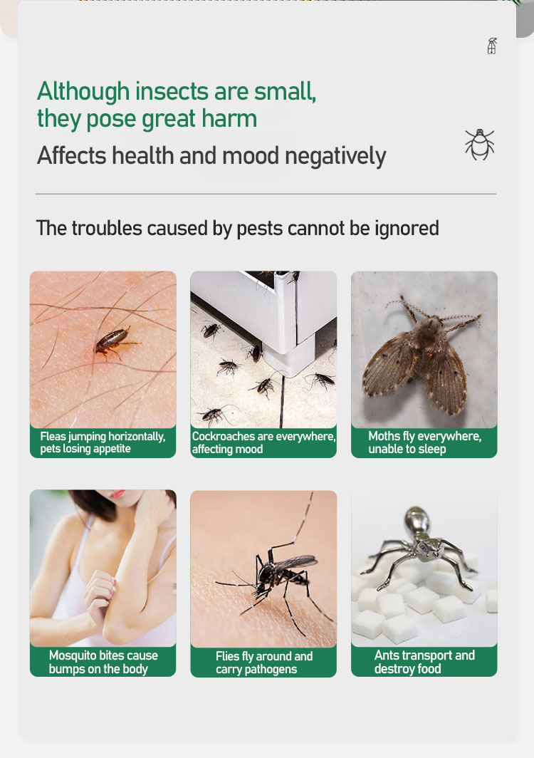 Household pest control Breeze Spray lipas Spray semut Spray serangga ...