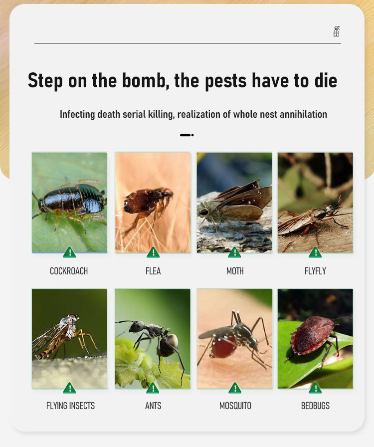 Household pest control Breeze Spray lipas Spray semut Spray serangga ...