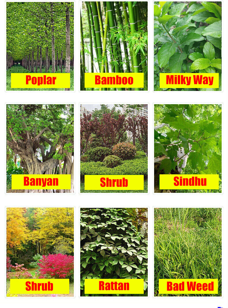 【Strong medicinal properties】Effective weed control Weed Killer Grass ...