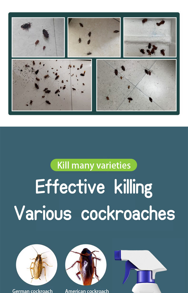 10 years cockroach free SG cockroach killer cockroach spray cockroach ...