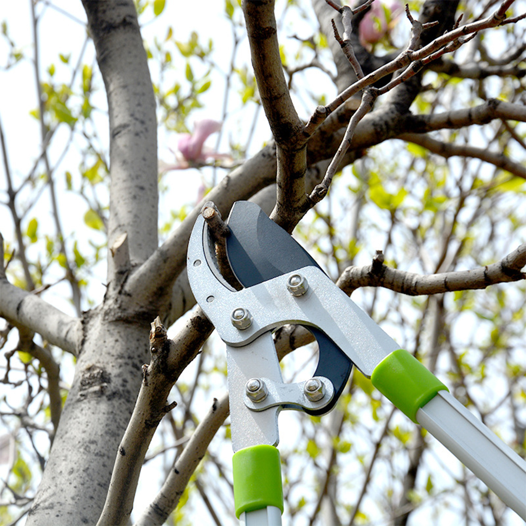 Garden Scissors Telescopic SK5 Branch Scissors High Altitude Effortless ...