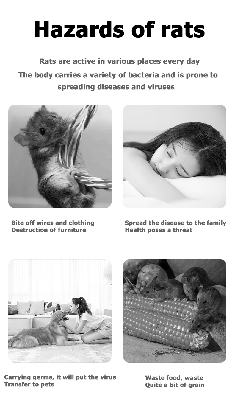 Anti rat spray Rat Rat most effective rat repellent indoor rat off ...