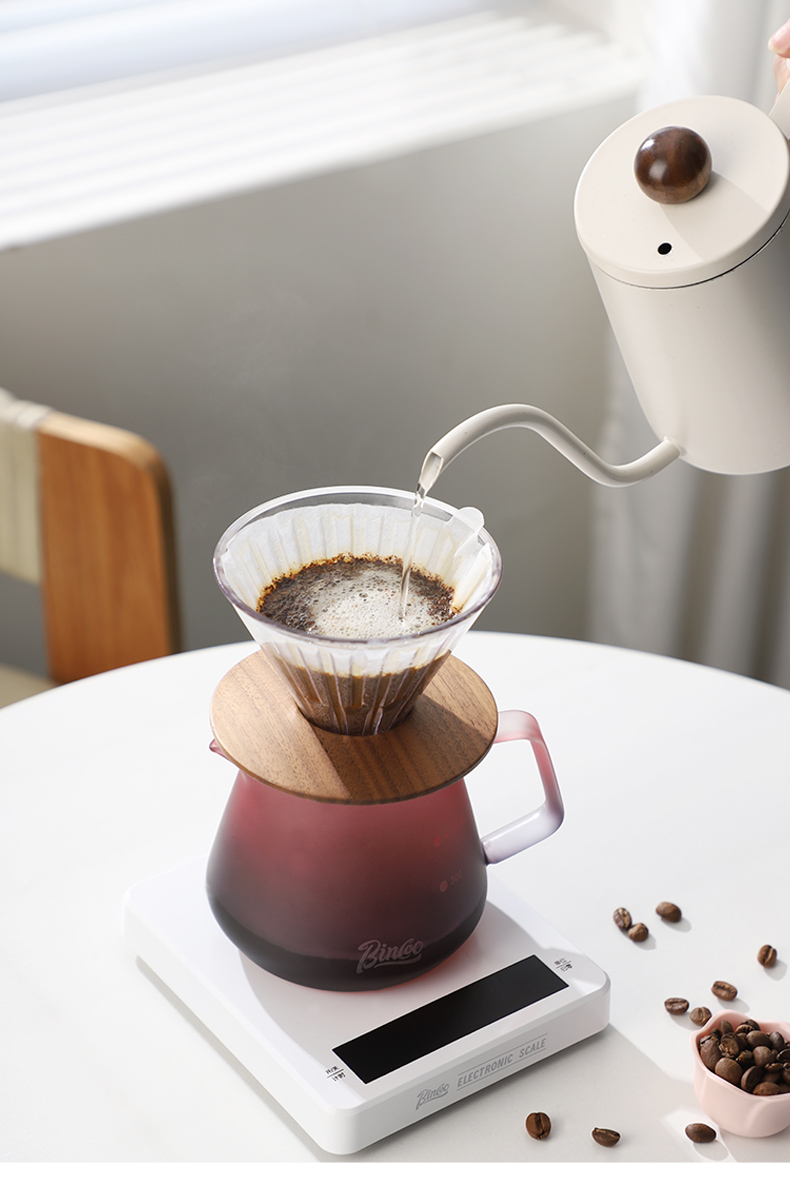 BINCOO Hand Brew Coffee Pot Set Hand Grinder Coffee Maker Complete Set ...
