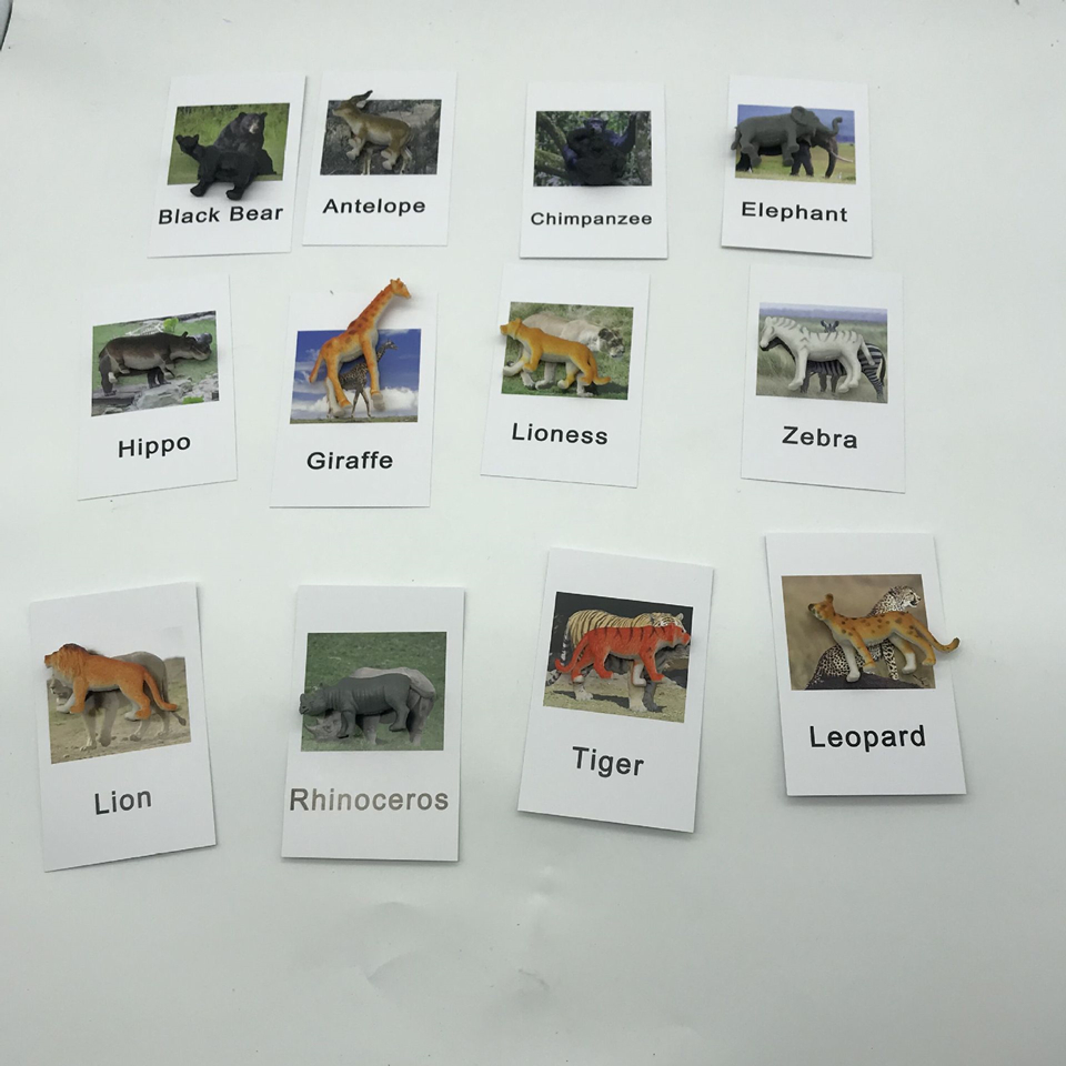 Montessori Animal Match Cards Miniature Poultry Animals with Matching ...