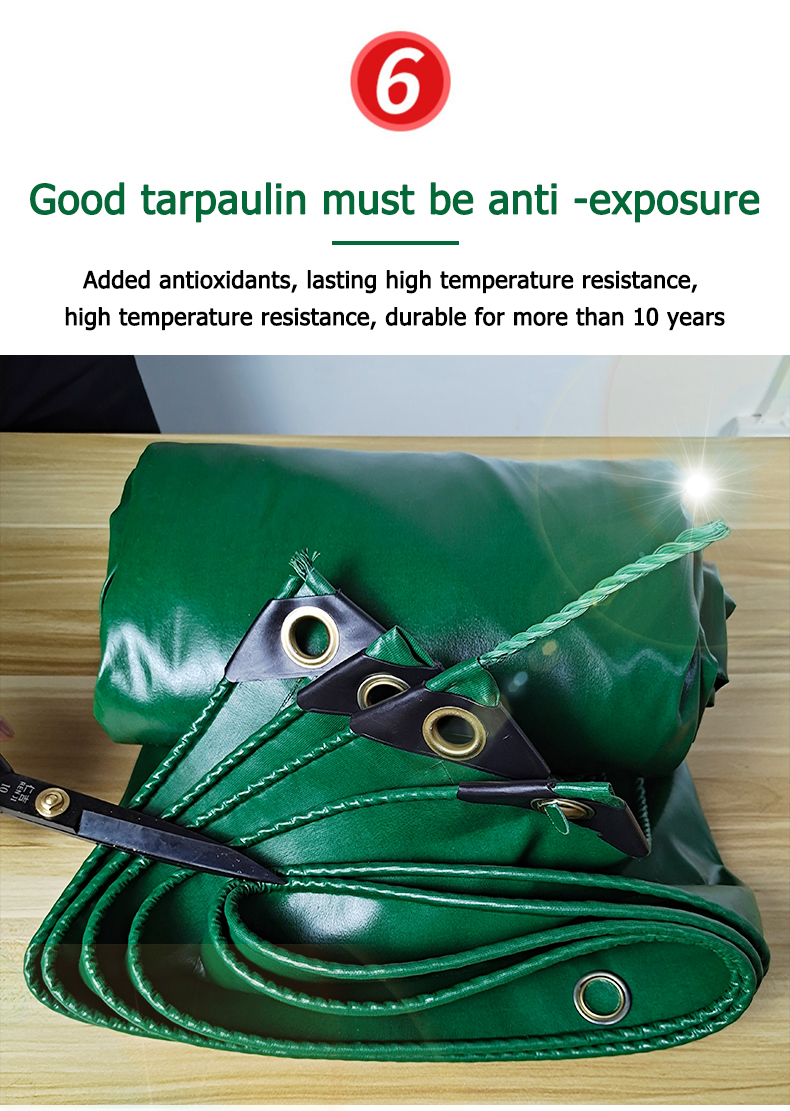 Durable for 99 years without breakage German Extra-thick high quality ...