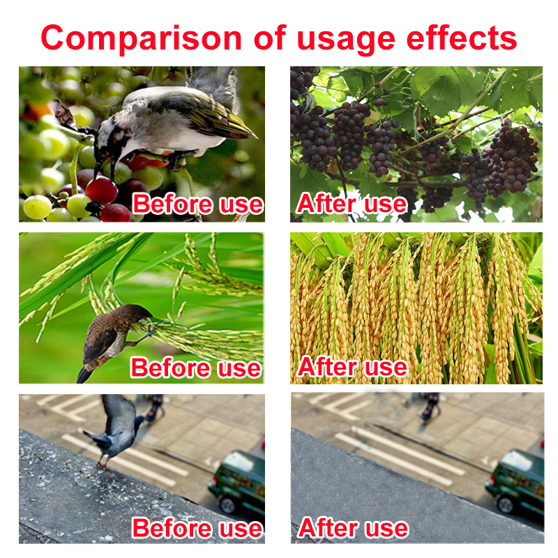 [Ready Stock] racun burung bird killer 500g Bird repellent Bird Poison ...