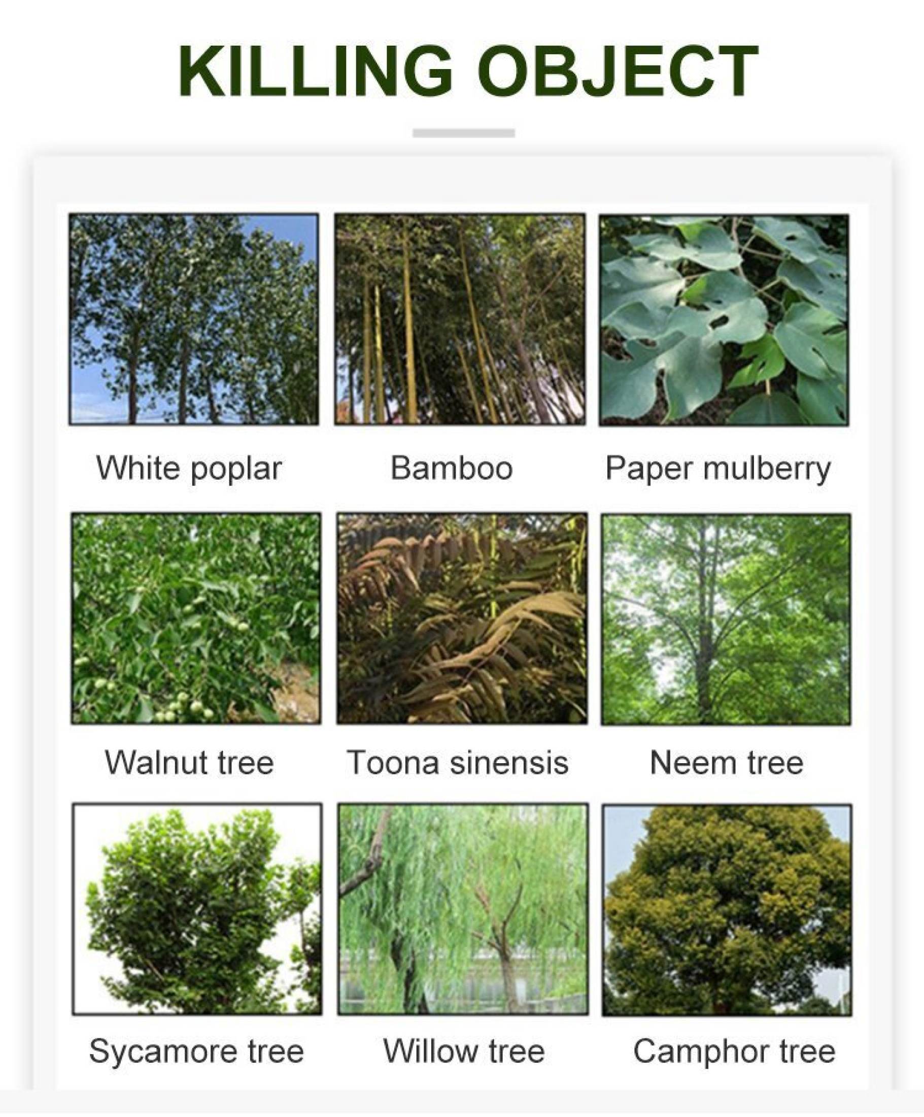 Root rot does not recur racun rumput paling kuat murah racun rumput ...