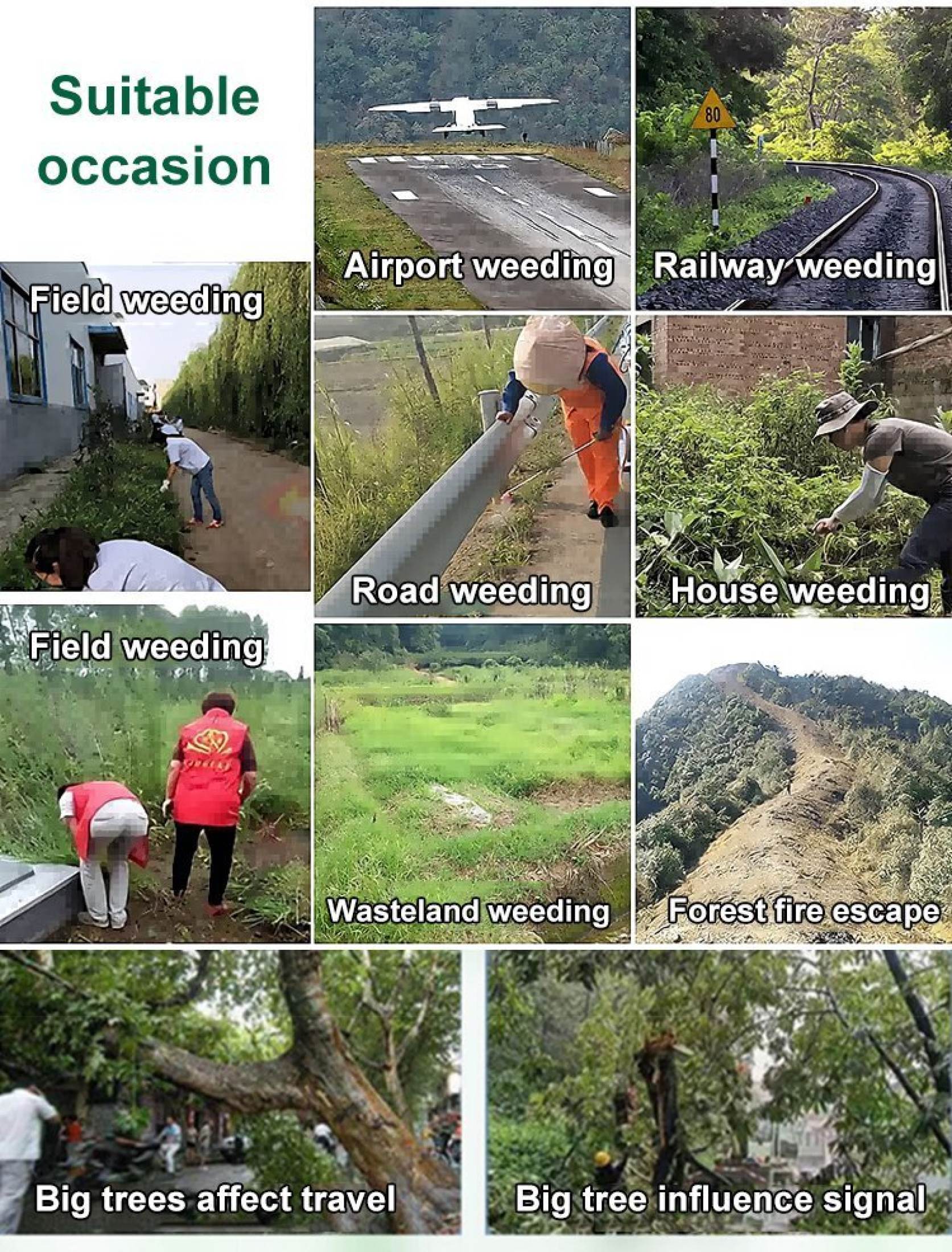 Root rot does not recur racun rumput paling kuat murah racun rumput ...