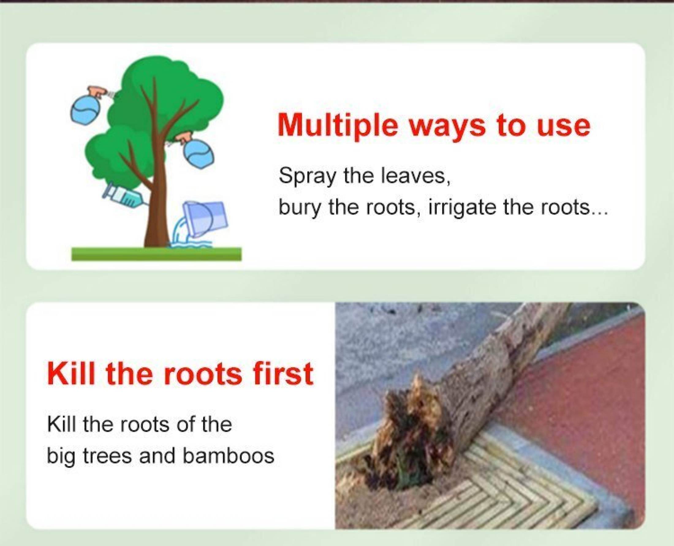 Root rot does not recur racun rumput paling kuat murah racun rumput ...