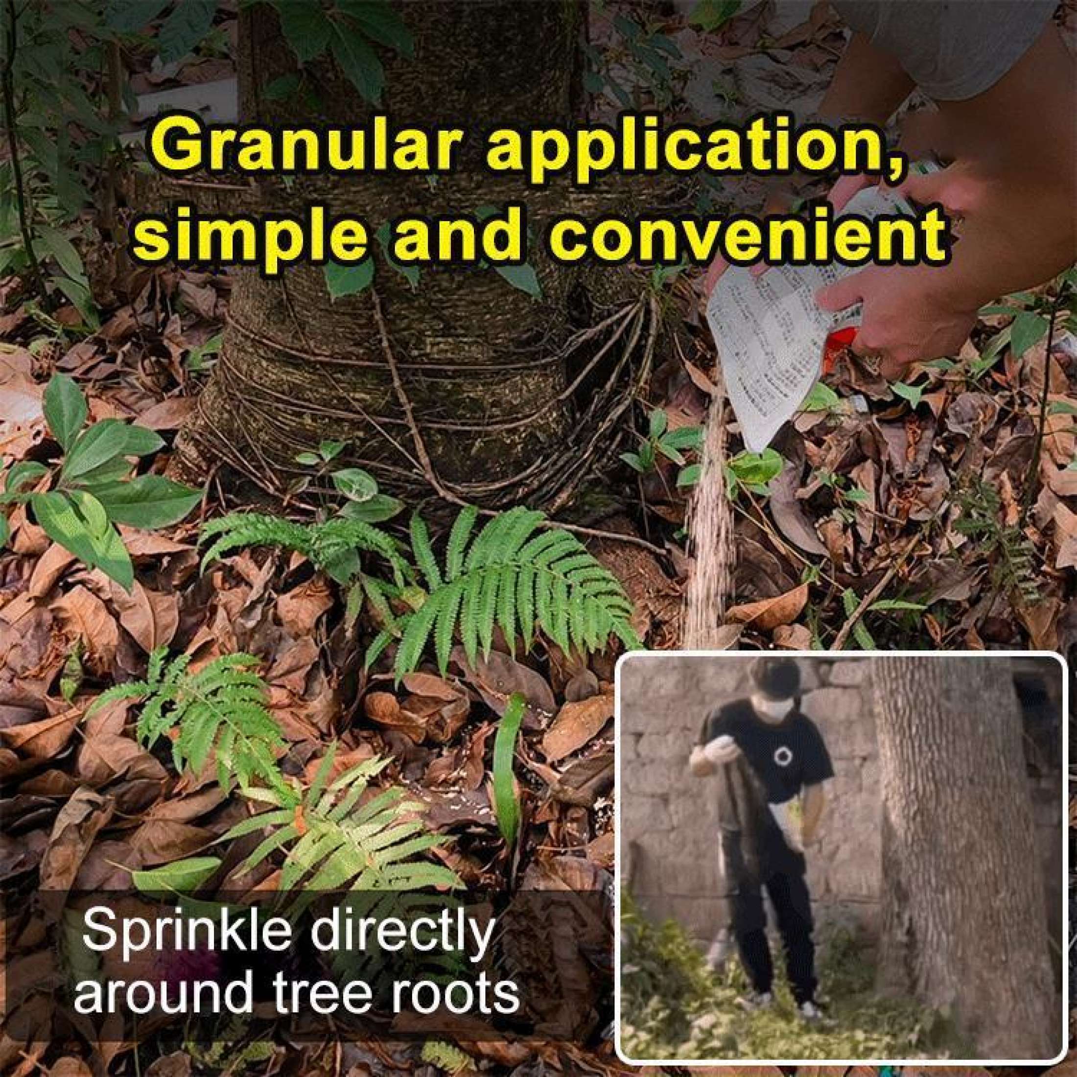 Root rot does not recur racun rumput paling kuat murah racun rumput ...