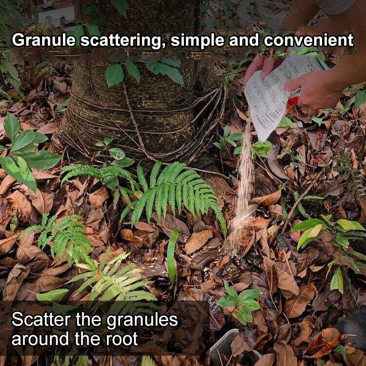 Chemical to Kill big tree roots and bamboo Effective weed control ...