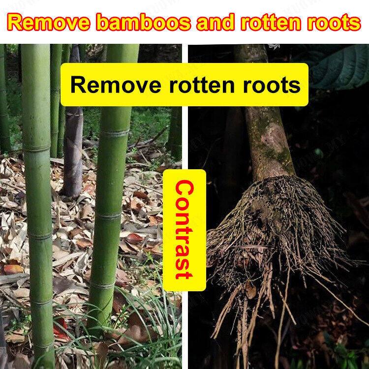 Chemical to Kill big tree roots and bamboo Effective weed control ...