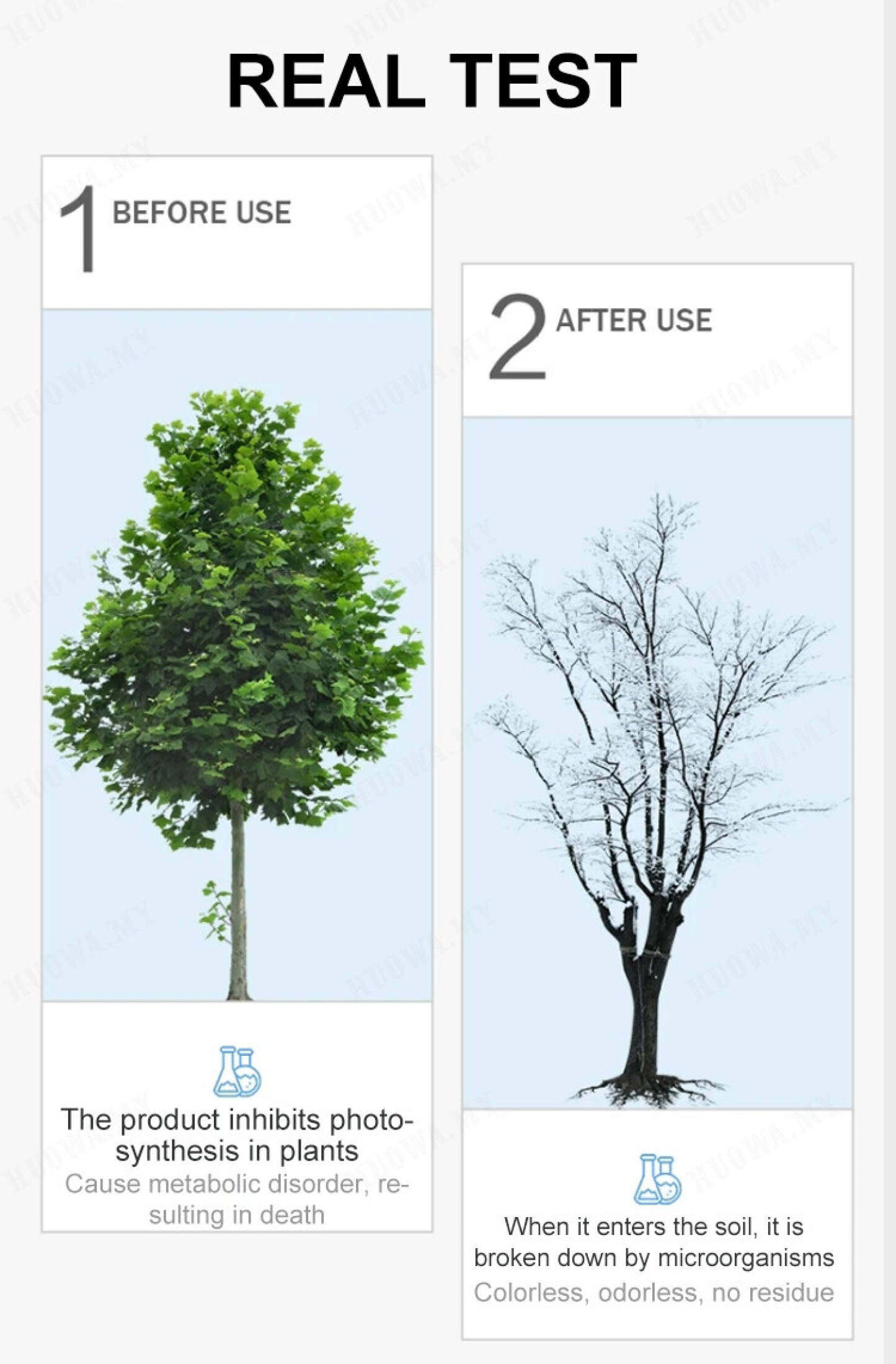 Chemical to Kill big tree roots and bamboo Effective weed control ...