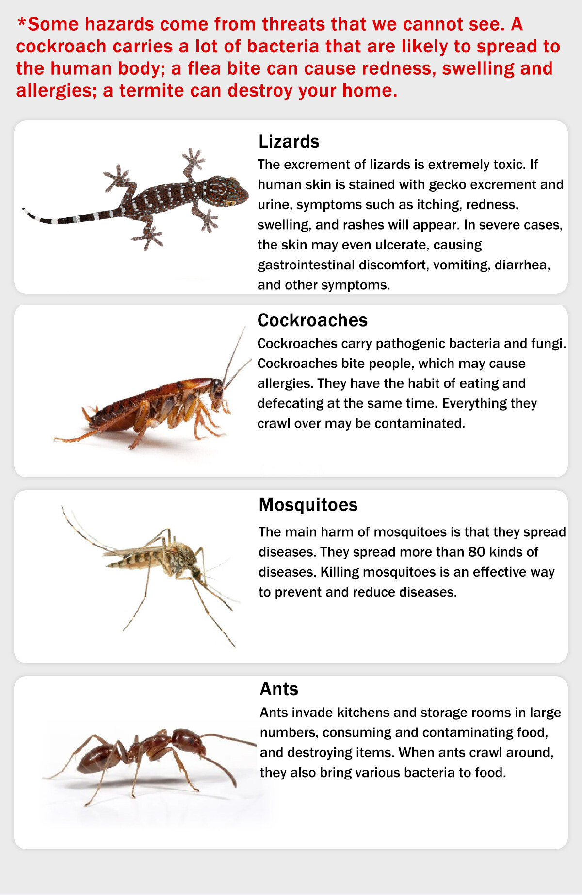 100 years without lizards/cicak lizard repellent ultrasonic pest ...
