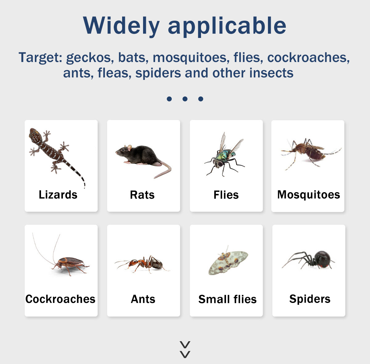 100 years without lizards/cicak lizard repellent ultrasonic pest ...