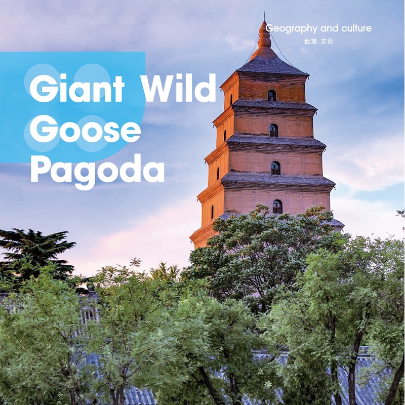Giant Wild Goose Pagoda Building Blocks 672 Pcs WANGE Architecture ...