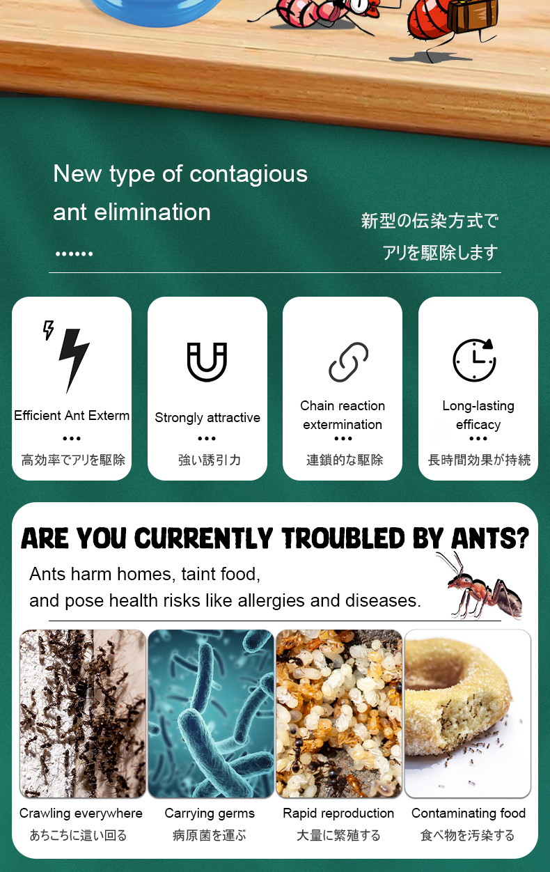 【Super Ant Medicine】ioo Ant poison Ant bait No ants in the whole house ...