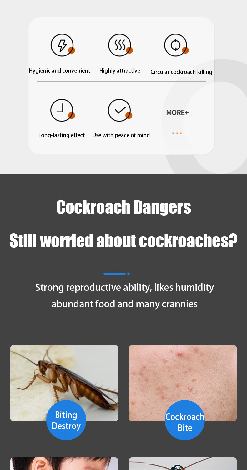 No cockroaches in20 years SG cockroach killer lipas killer cockroach ...