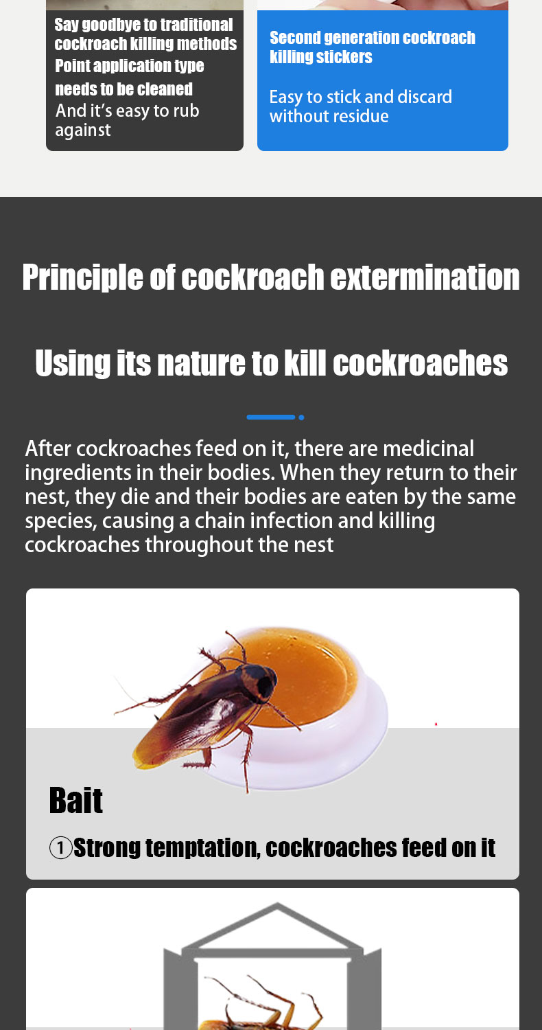 No cockroaches in20 years SG cockroach killer lipas killer cockroach ...