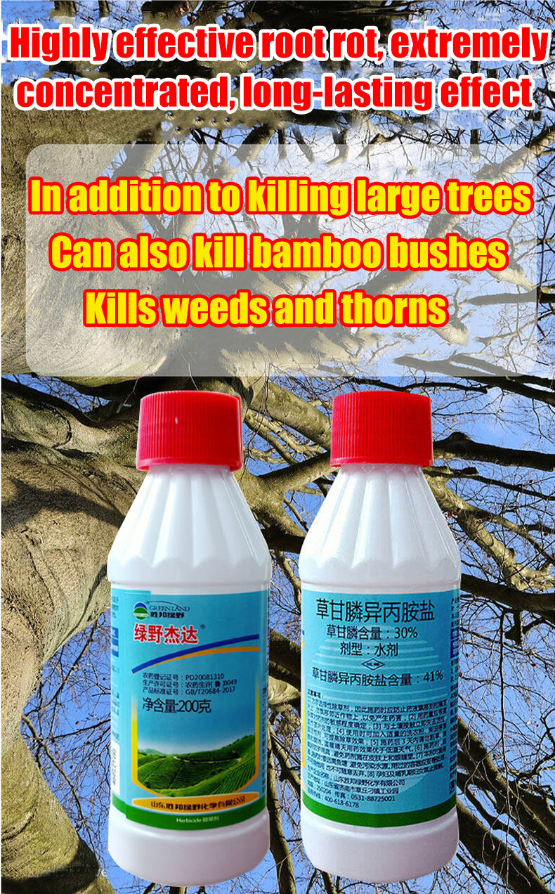 【Root rot 10 meters】Tree killer 500g/bag Racun pokok kayu besar ...