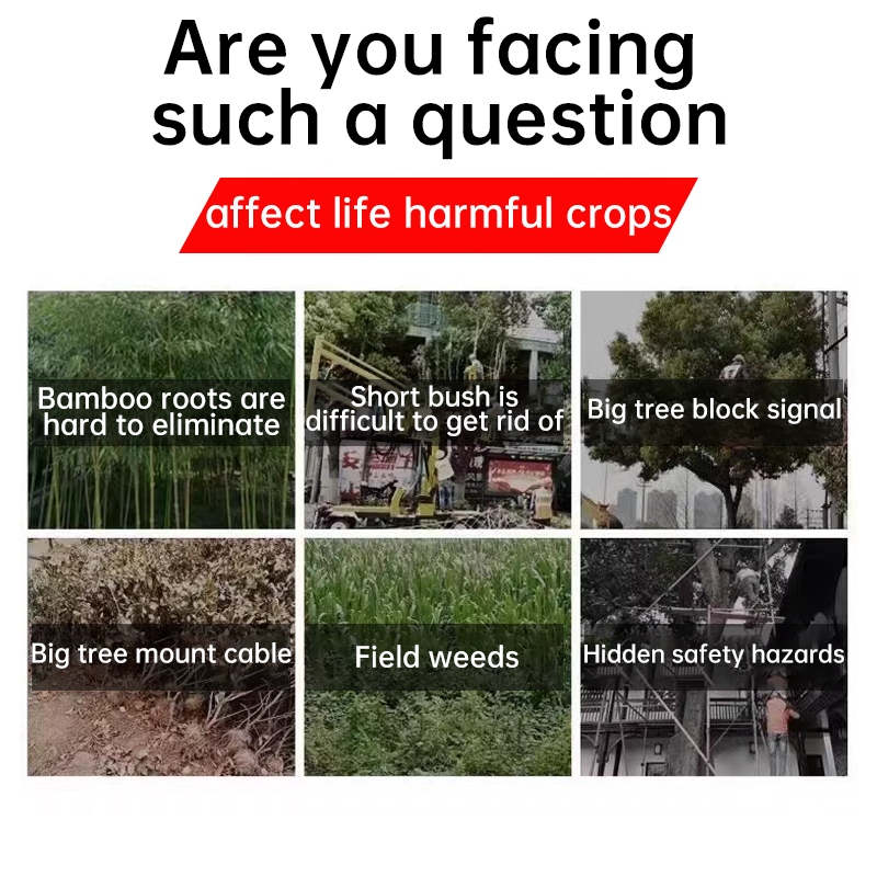 VA Weed killer racun rumput Racun rumput mati akar Racun rumput sambau ...