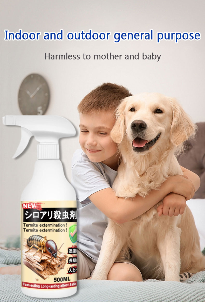 【No termites for 50 years】CC Termite killer spray Ubat anai anai ...