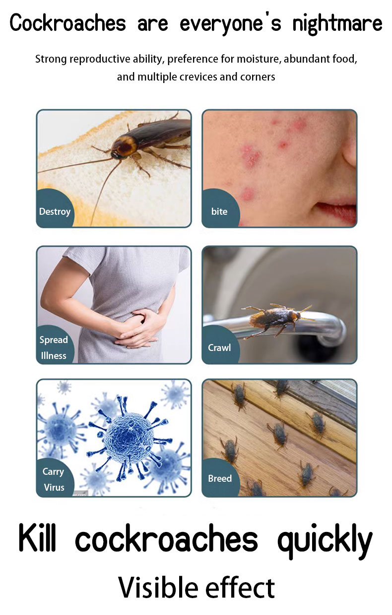 【Kill all cockroaches overnight】CC Cockroach killer Spray lipas 500ML ...