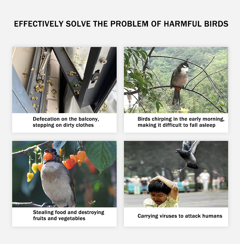 100 years without birds racun burung bird killer 500g Bird repellent ...