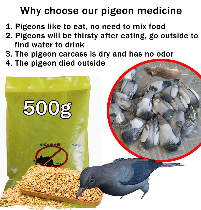 Ready Stock racun burung bird killer 500g Bird repellent pigeon poison ...
