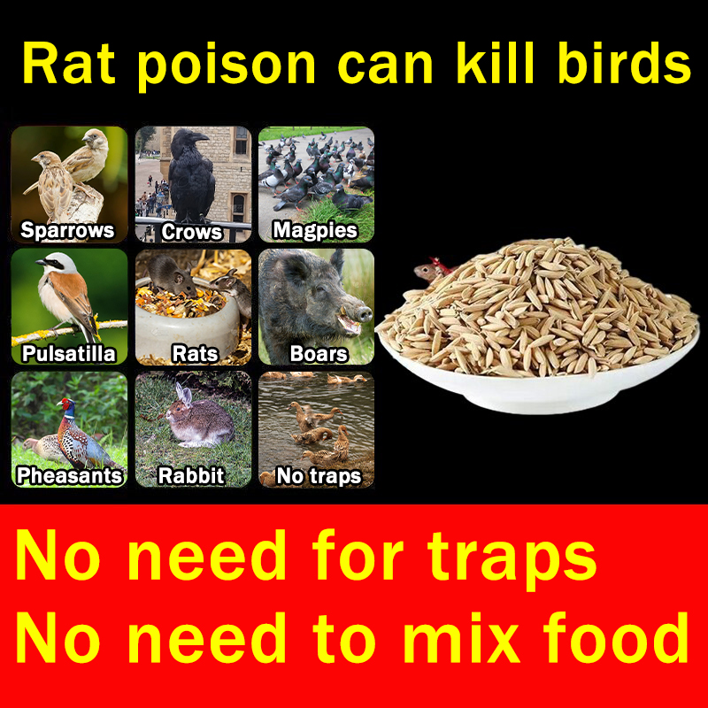 Ready Stock racun burung bird killer 500g Bird repellent pigeon poison ...